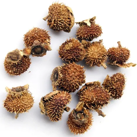 Rosa Roxburghii Fruit Extract /rosa Roxburghii Fruit Vitamin C/ Rosa ...