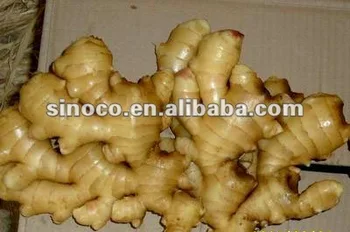 Varieties Of Ginger - Buy Varieties Ginger Plants,Indian Mango ...