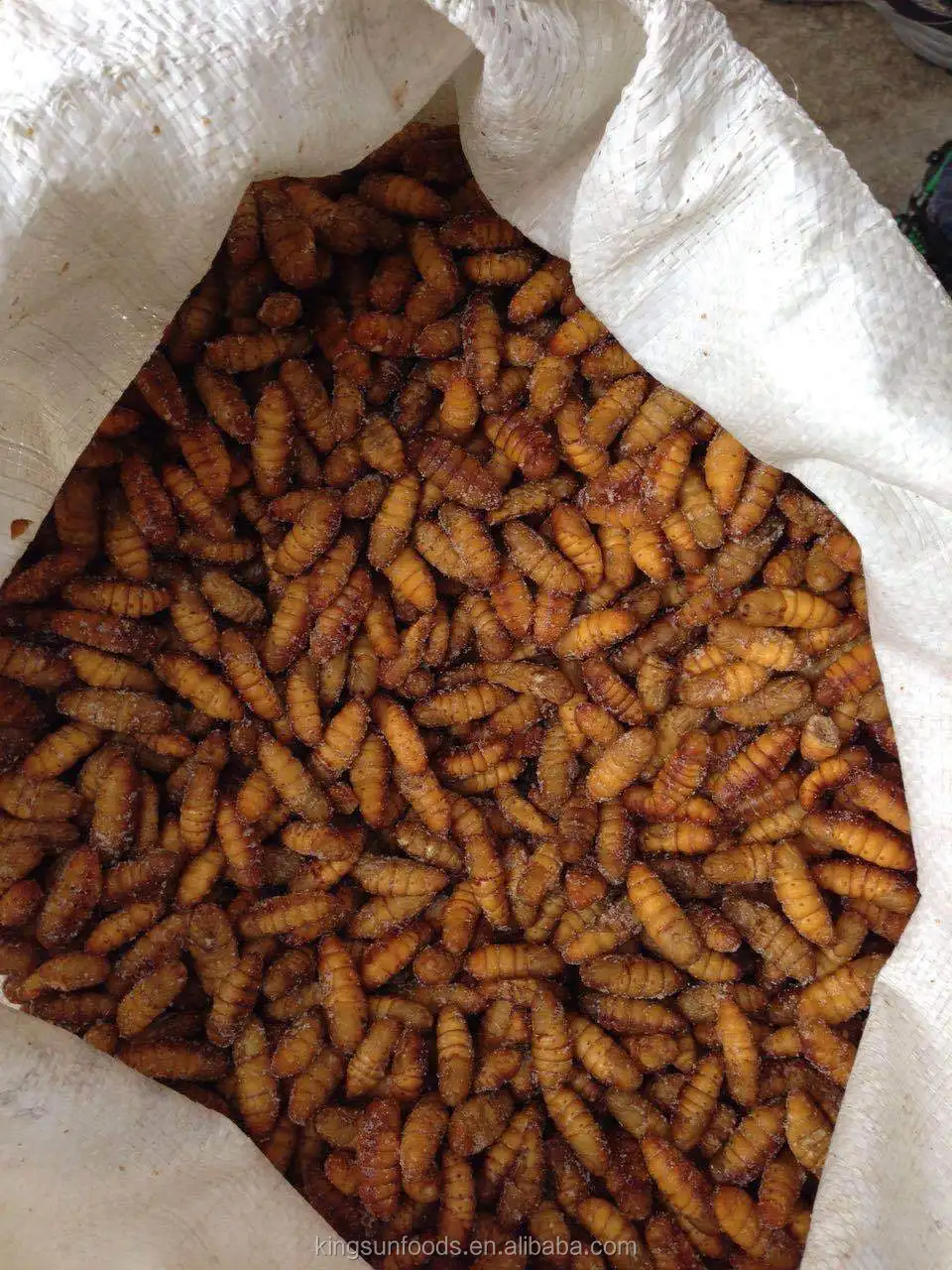 Human Food Silkworm Chrysalis - Buy Silkworm,Human Food Silkworm ...