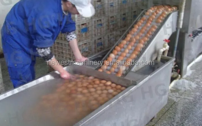 Hot Sale Stainless Steel Quail Eggs Washing Machines/egg Washing And ...