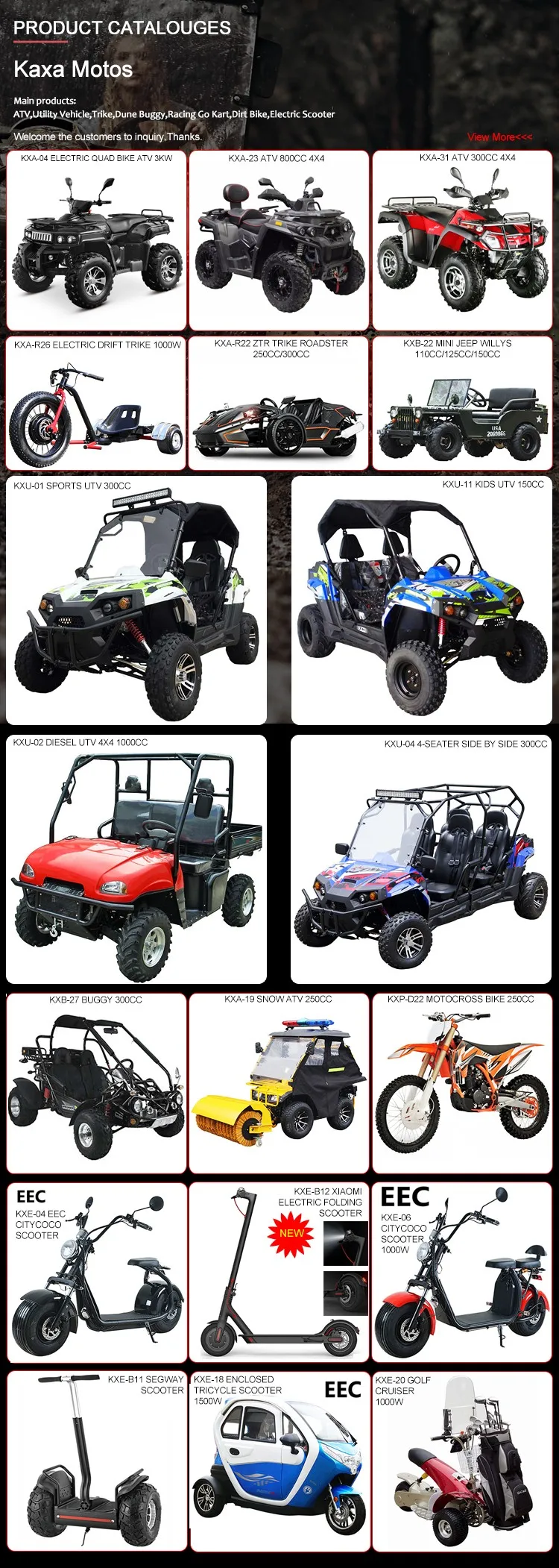 New 500cc 4-stroke Gasoline Motorcycle Powered Dune Buggy - Buy ...