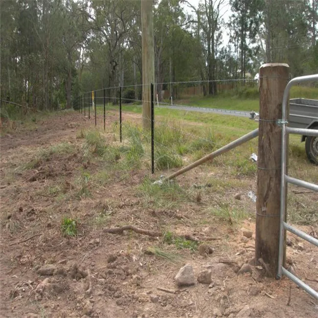 Galvanized Steel Angle Iron Fence Posts for Gardens & Farms