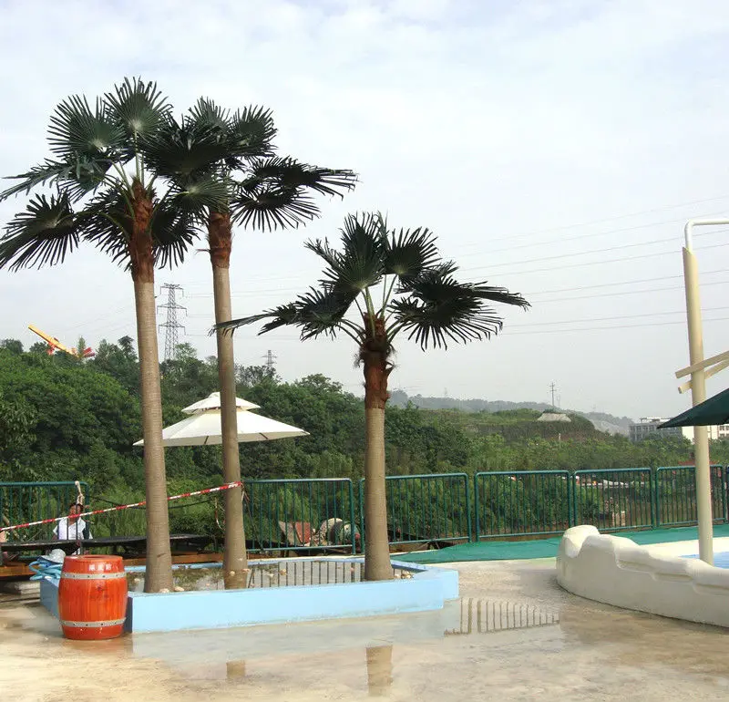 Giant King Coconut Tree Landscape Design 8 Meter High Park Theme ...