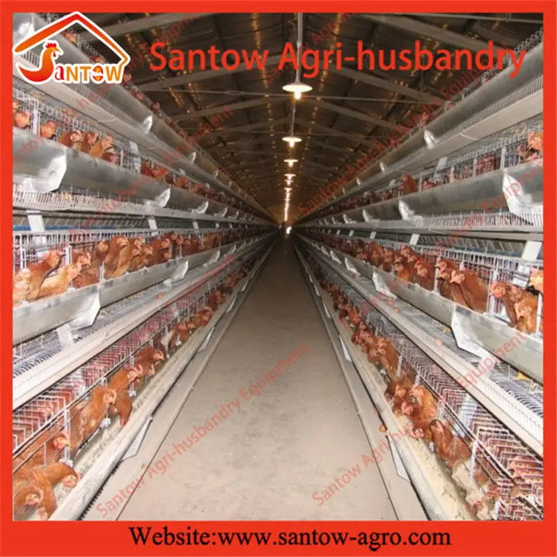 Factory Layer And Broiler Feeding Project Poultry Farm Design Layout ...