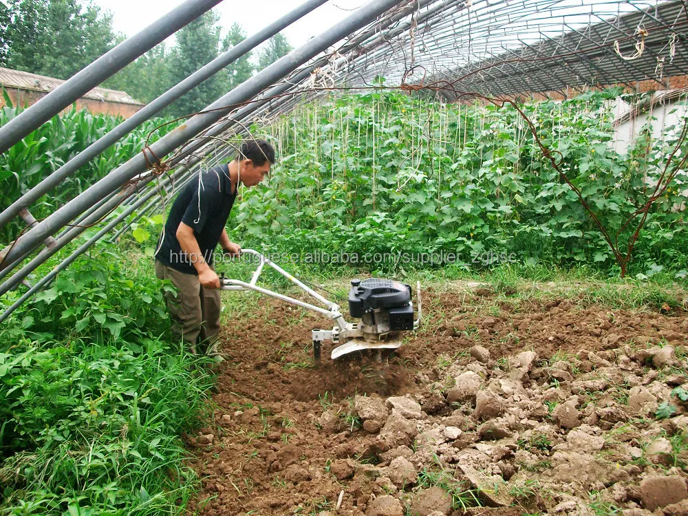 Hot Selling Mini Farm Machinery Hand Tractor - Buy Hand Tractor,Farming ...