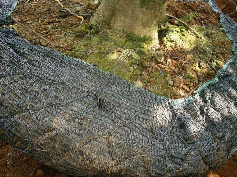 Tree Root Wire Mesh - Durable Protection for Moving Trees