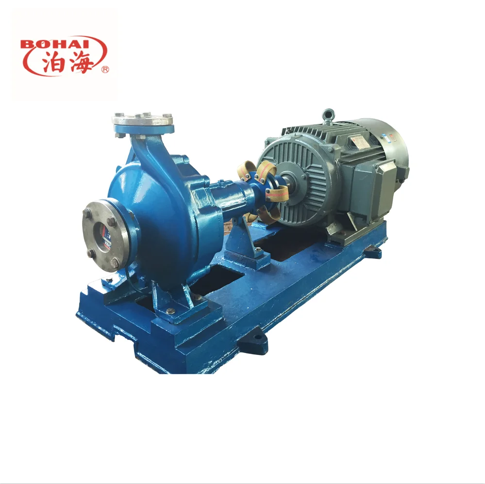 RY40-25-160 Hot Oil Pump - High Temperature Centrifugal Pump for Oil ...