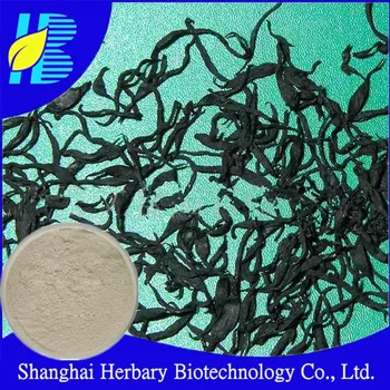 Fucoidan Polysaccharide Of Sulfated/sargassum Seaweed Extract - Buy ...