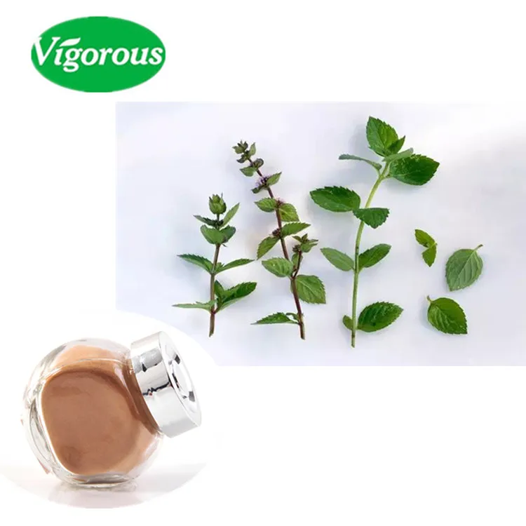 High Quality Free Sample Catnip Nepetalactone Extract Powder - Buy ...