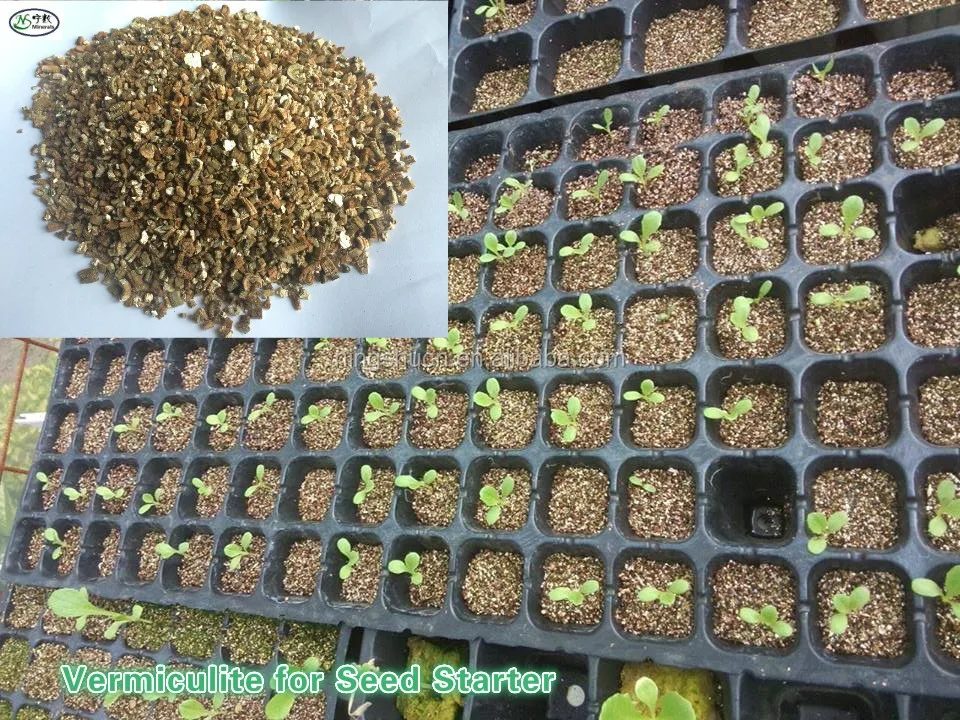 Growing Medium Expanded Perlite And Vermiculite For Orchid Plant ...