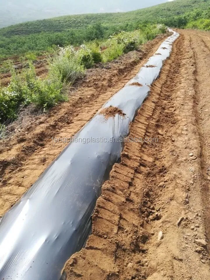 Agriculture Vegetables Crops Compostable Mulch Paper / Silver Black ...