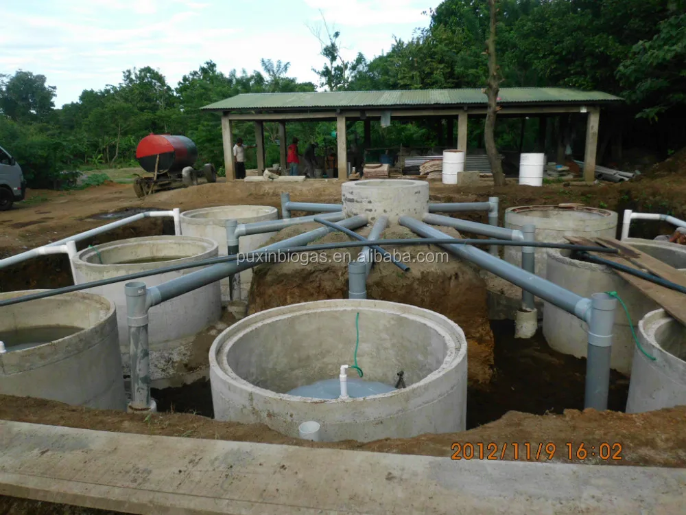 Puxin Design 10m3 Domestic Small Biogas Digester For Cooking And ...