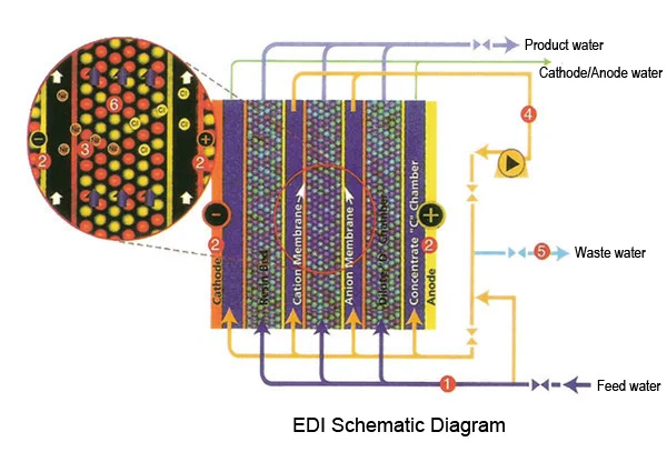 500lph Continuous Electrodeionization Edi Cedi Ultra Pure Distilled ...
