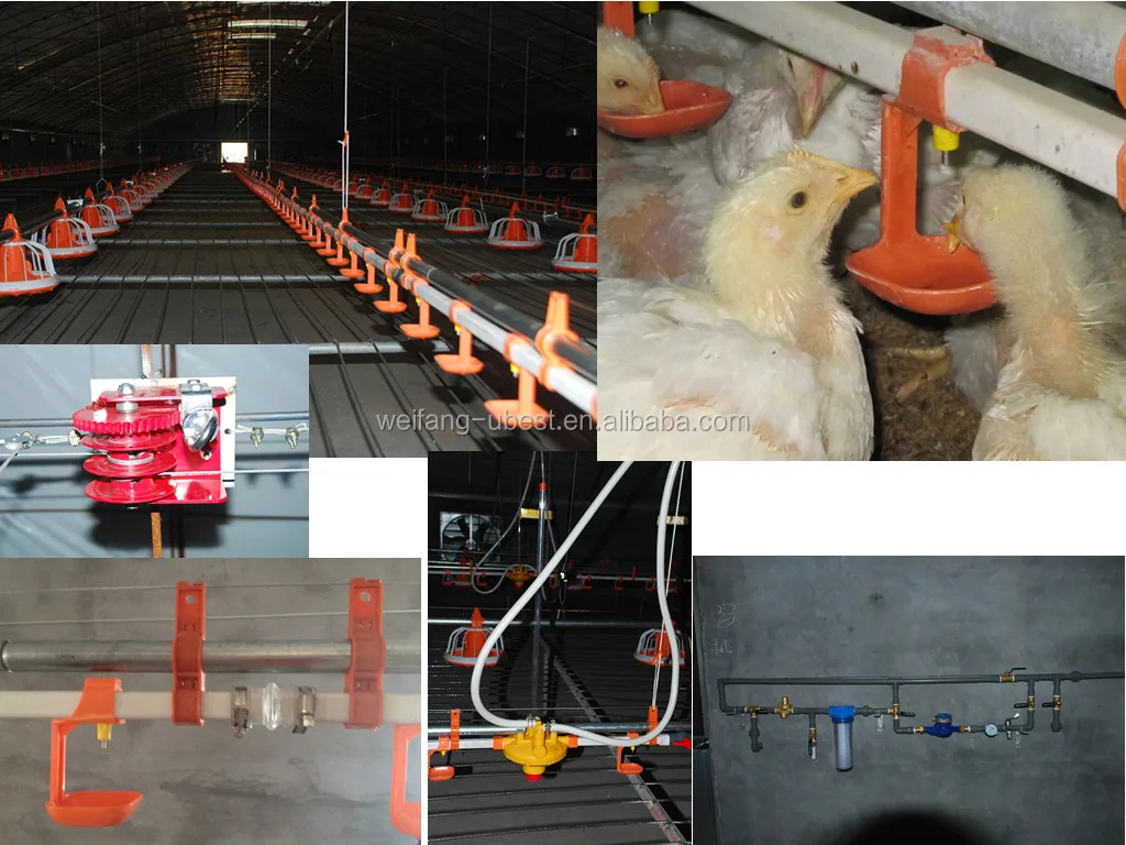 Used Livestock Breeding Equipment For Chicken House Broiler Shed - Buy ...