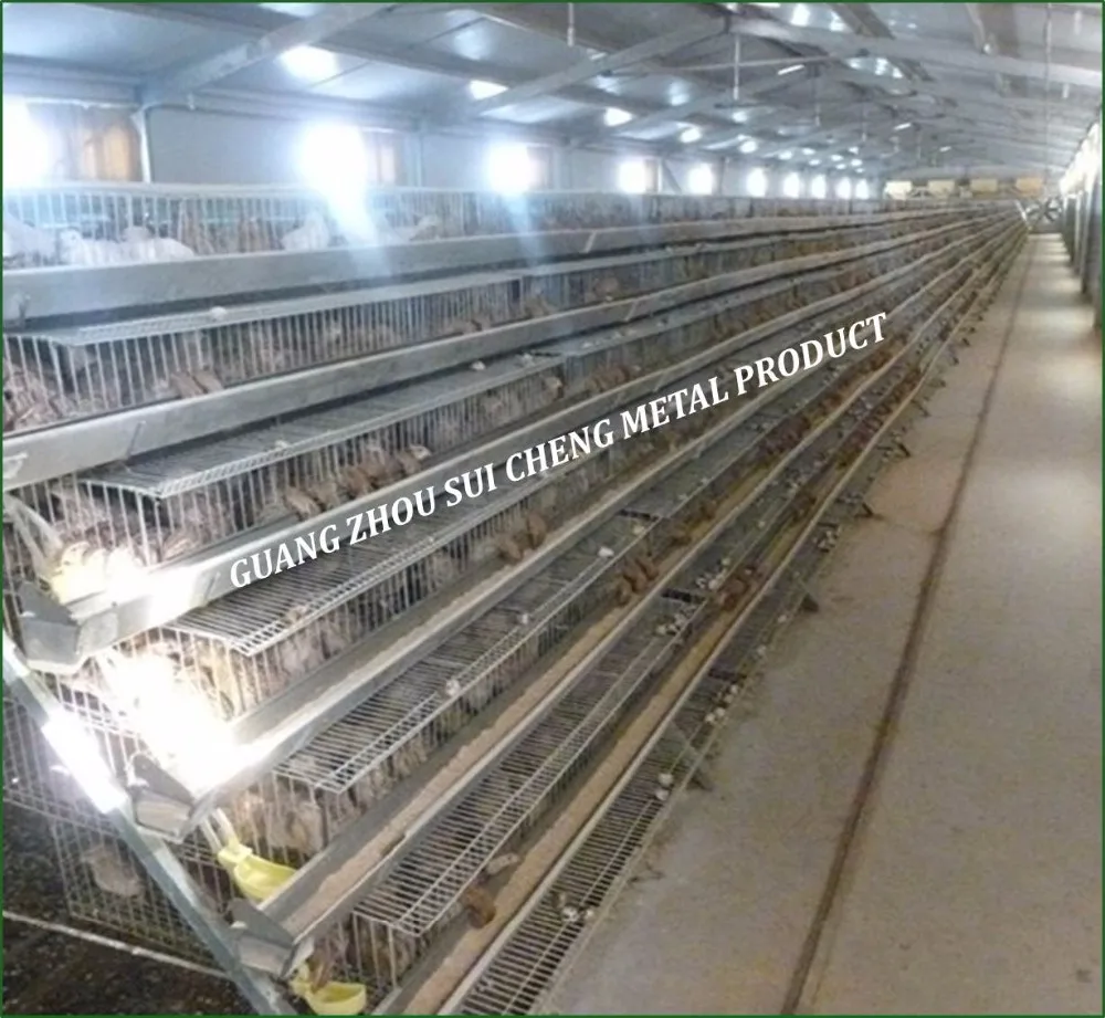 Guangzhou Factory Free Sample Quail Cage Water System for 240 Quails ...