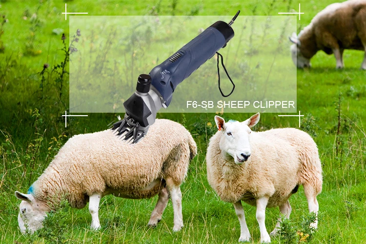 Rechargeable Durable 180w 76mm Heavy Duty Blade Low Noise Sheep ...