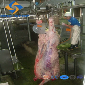 Cattle Slaughter Equipment Half Carcass Splitting Saw Cow Processing ...
