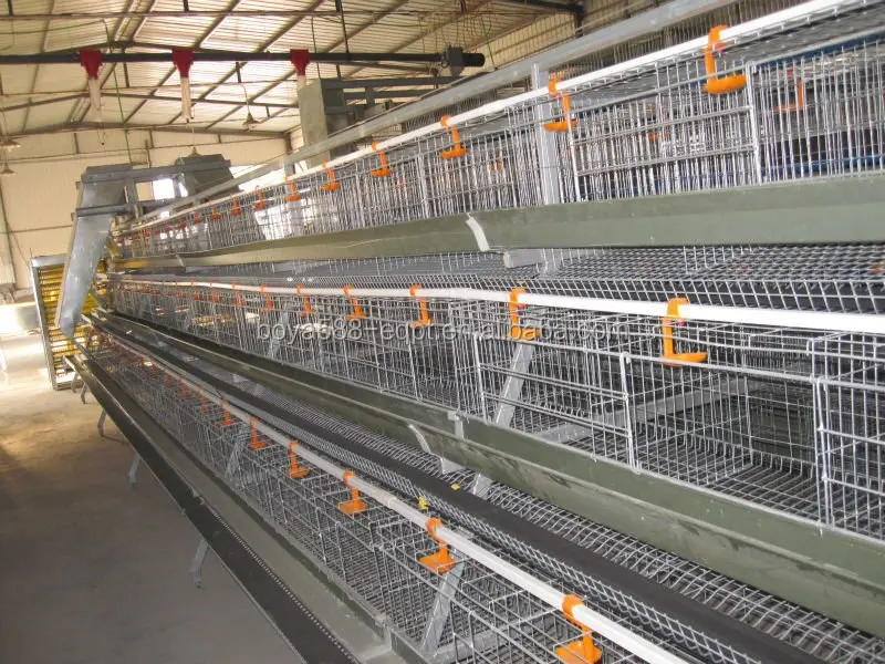 Poultry Farm Design Layout Galvanized Chicken Layer Cage For Nigeria ...