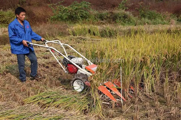 Paddy Rice Cutter/rice Cutting Machine - Buy Paddy Rice Cutter,Paddy ...
