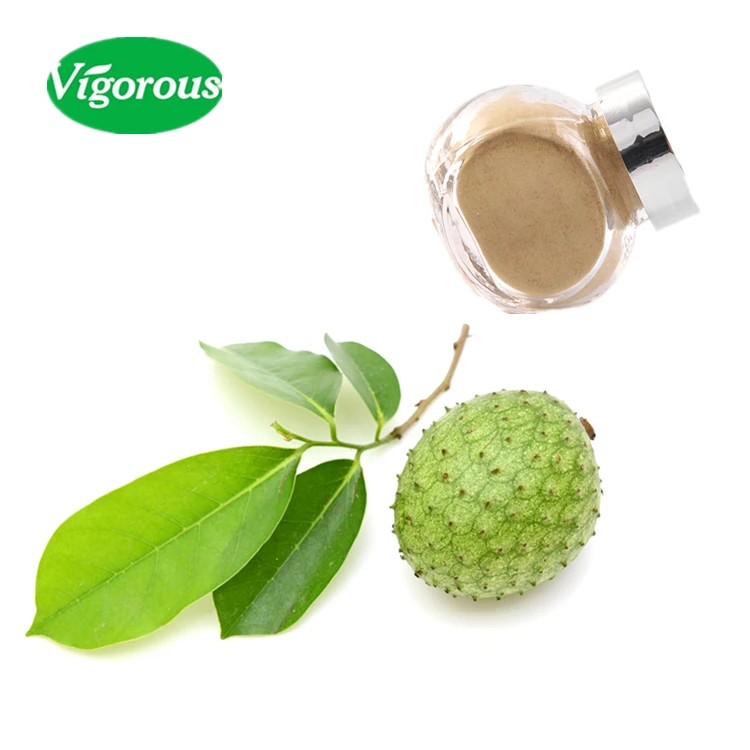 100% Pure Graviola Leaf P.e/annona Muricata Extract Powder - Buy ...