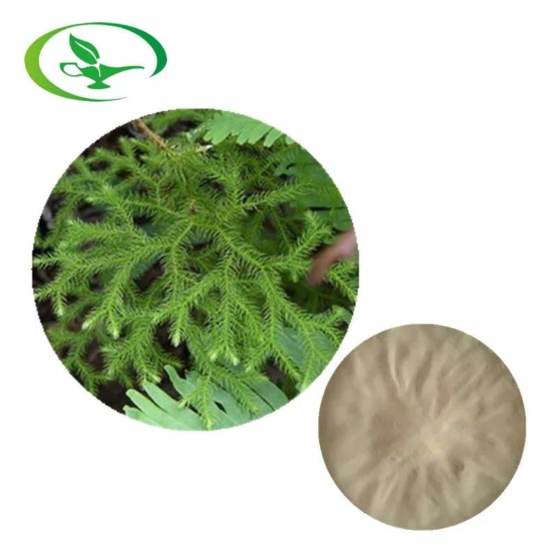 High Quality 100%% Natural Heavy Lycopodium Spore Powder With Free ...