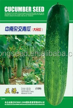 Chinese Vegetable Seeds Of Seeds Cucumber - Buy Seeds Cucumber,Chinese ...