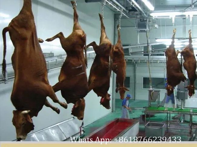 Cattle Slaughter Equipment - Efficient Halal Line Solutions