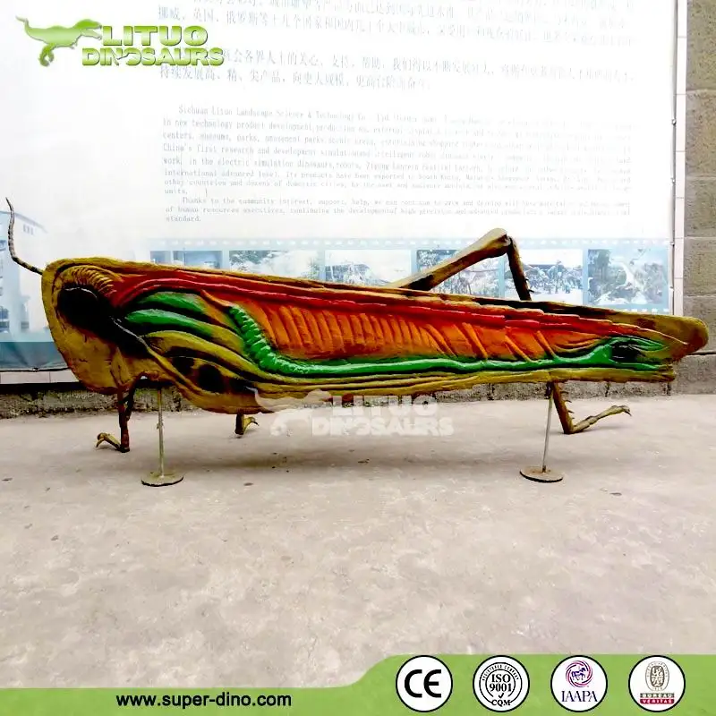 Insect Park Big Robotic Insect Model Of Grasshopper - Buy Big Insect ...