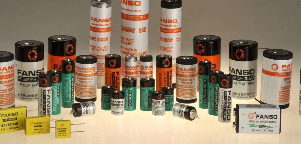 Wuhan Fanso Technology Co., Ltd. - Primary Lithium Battery,3.6v li ...