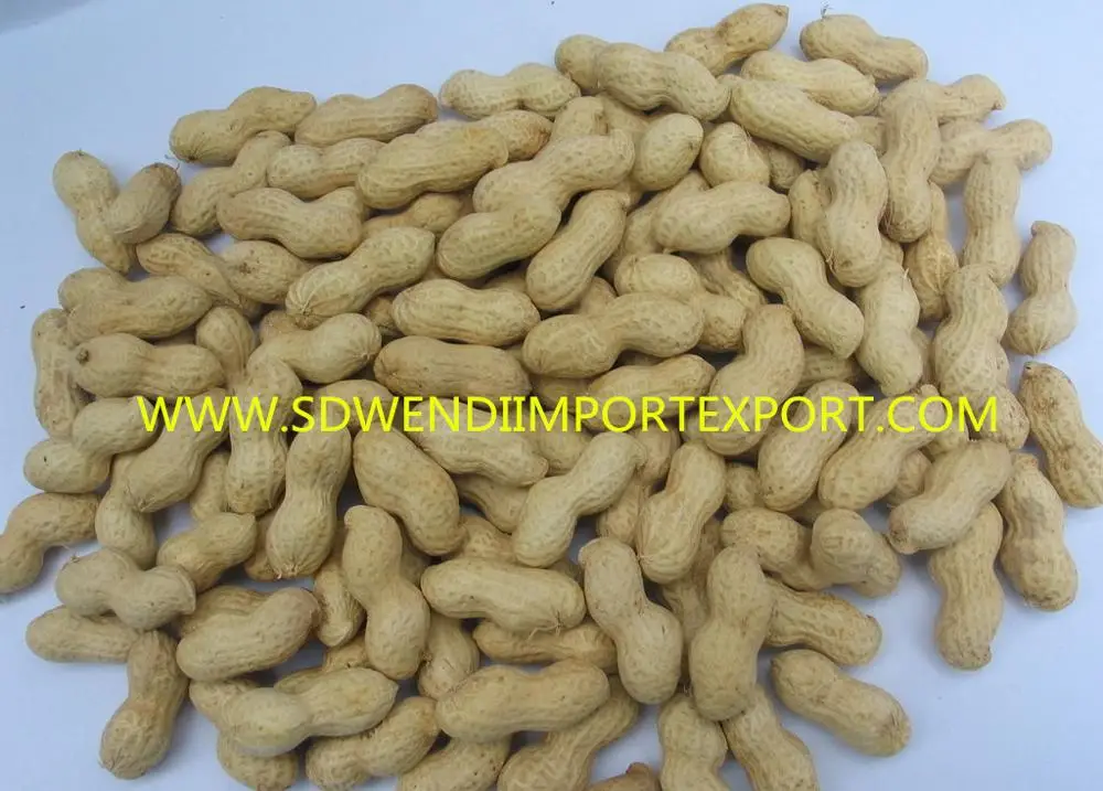 New Crop Shandong Raw Peanuts In Shell - Buy Peanuts In Shell,Raw ...