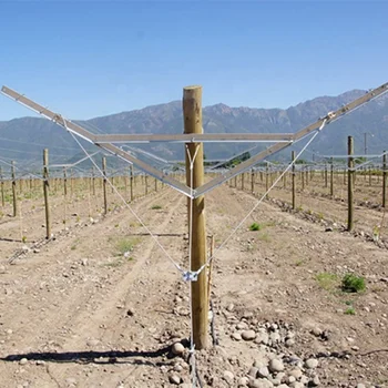 Y Shape Open Gable Trellis For Grape - Buy Y Shape Open Gable Trellis ...