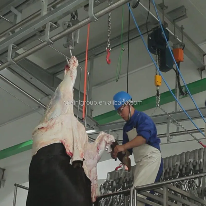 Slaughter Box For Cattle And Halal Ritual - Buy Slaughter Box For ...