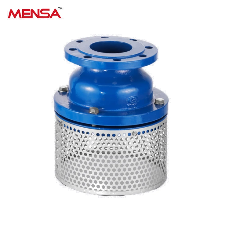 6 Inch Foot Valve Used In Industry Or Public Place For Protection - Buy ...