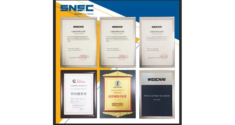 61260081335 Filtro De Combustible Wd615 Wd10 Wp10 Wp12 Motor Weichai ...