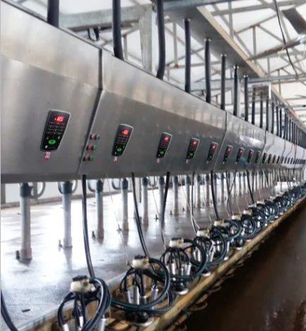 Automatic Parallel Milking Parlor/ Milking Machine For Cows - Buy Cow ...