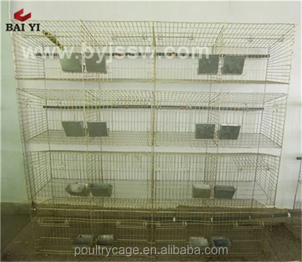Commercial Aluminum Rabbit Battery Cage In Kenya Farm (h & A Type ...