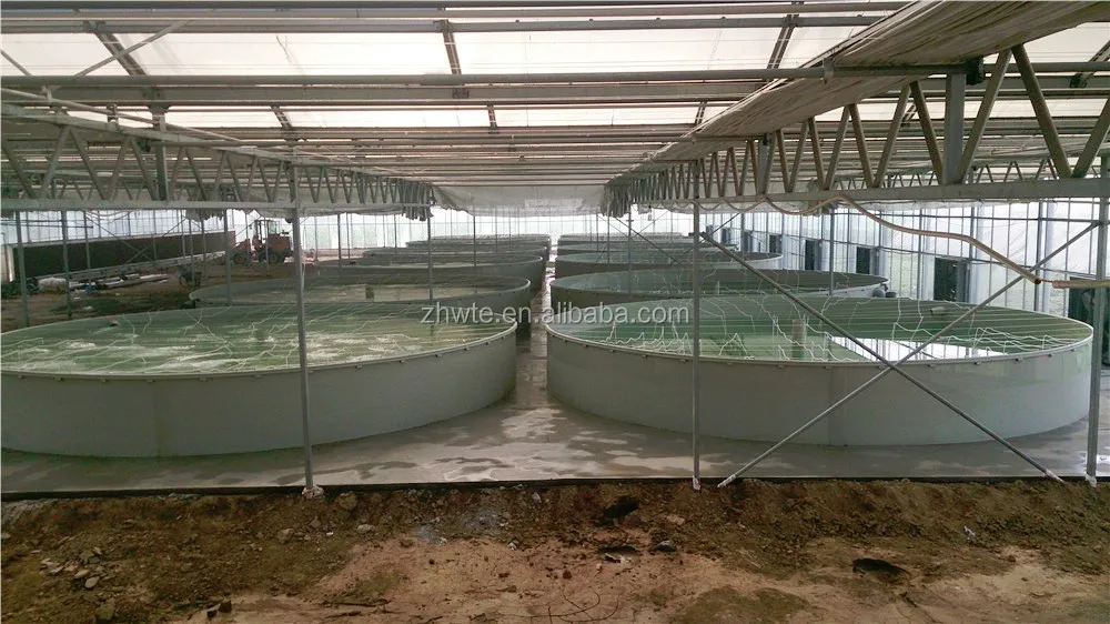 Durable Fra Series Pp Fish Tank,Ras Fish Tank Recirculation Aquaculture ...