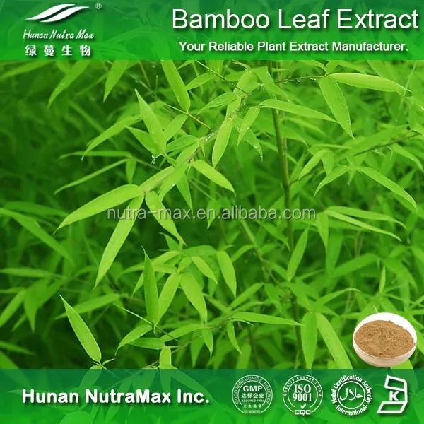 Golden Supplier Anticancer Herbal Ingredient Bambusa Arundinacea Stem ...