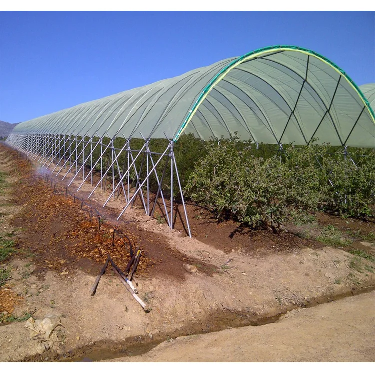 Hight Tunnels Polytunnel Kit - Ideal for Tomato Greenhouse