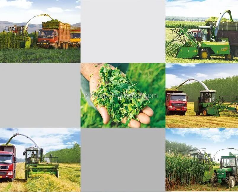 Pto-driven Tractor Towed Forage Silage Harvester Used By Small Family ...