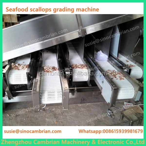 5 Levels Shrimp Grading Machine Crayfish Sorter With Rotation Roller ...