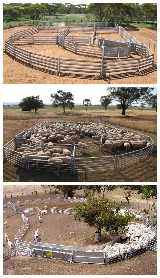 Sheep Yard| Alibaba.com