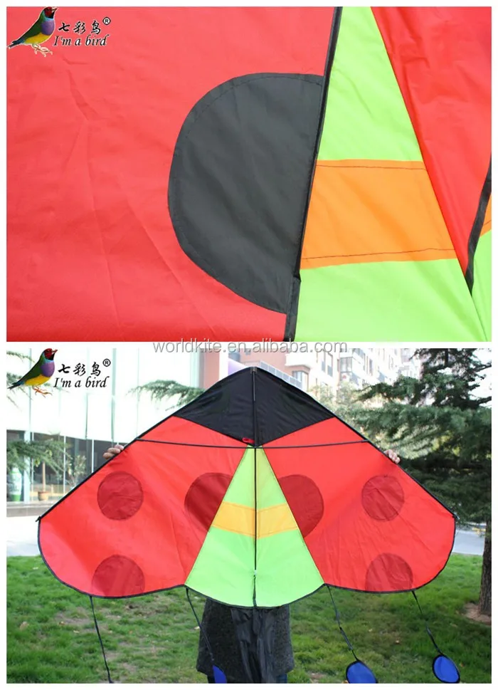 Colorful Lady Beetle Easy Flying Child Kite - Buy Child Kite Product on ...