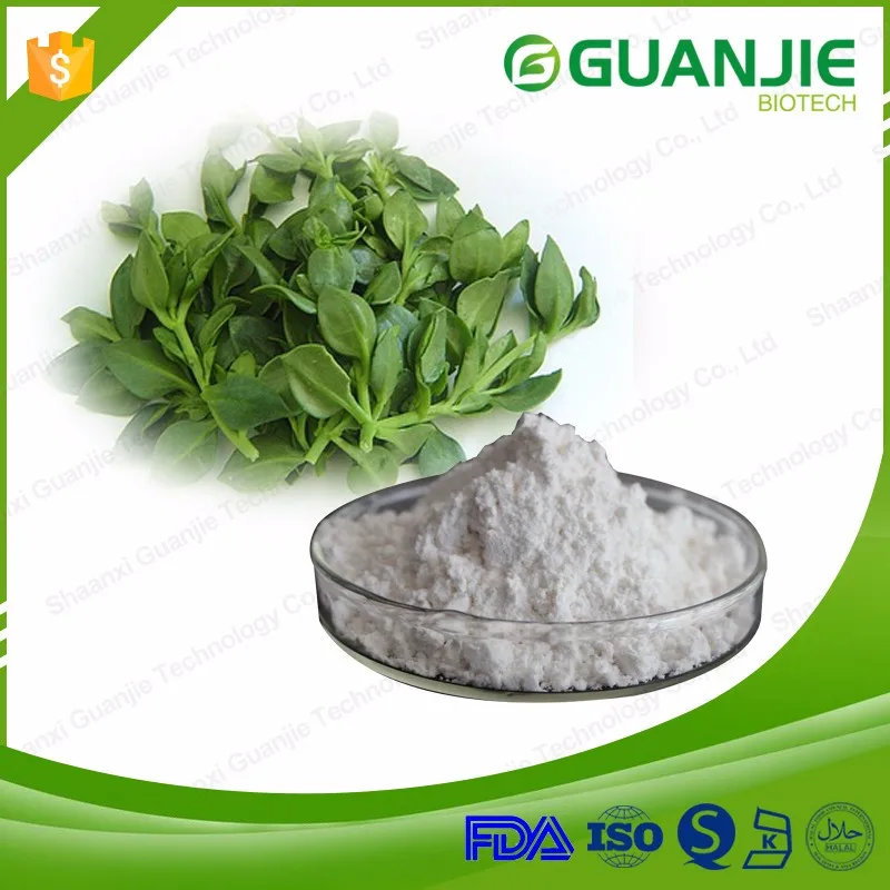 Herbal Extract Powder Andrographis Paniculata Extract Andrographolide