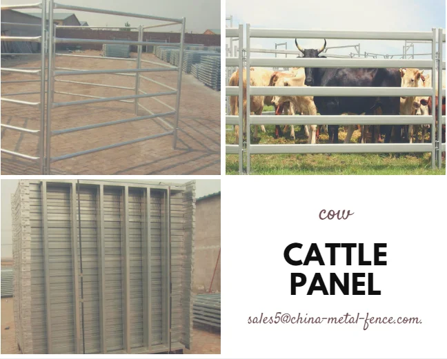 50' Horse Round Pen Arena Corral Panels - Buy Steel Corral Panels,Heavy ...