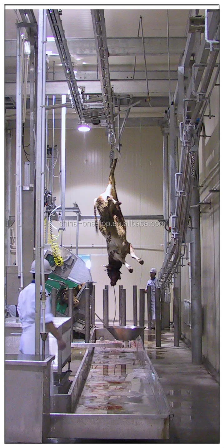 Complete Cattle Slaughter Line And Cutting Line For Slaughterhouse ...