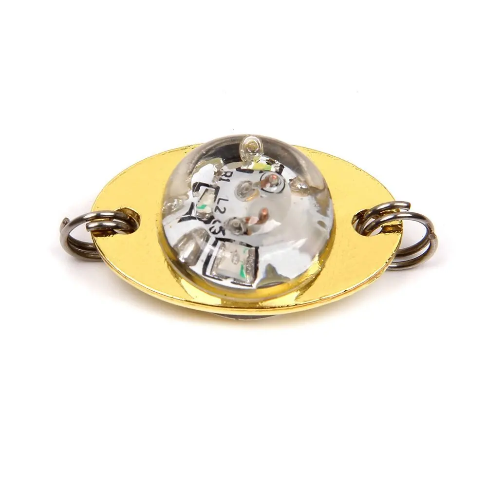 Saltwaterfreshwater Fish Bait Led Light Halibut Redfish Musky Bass ...