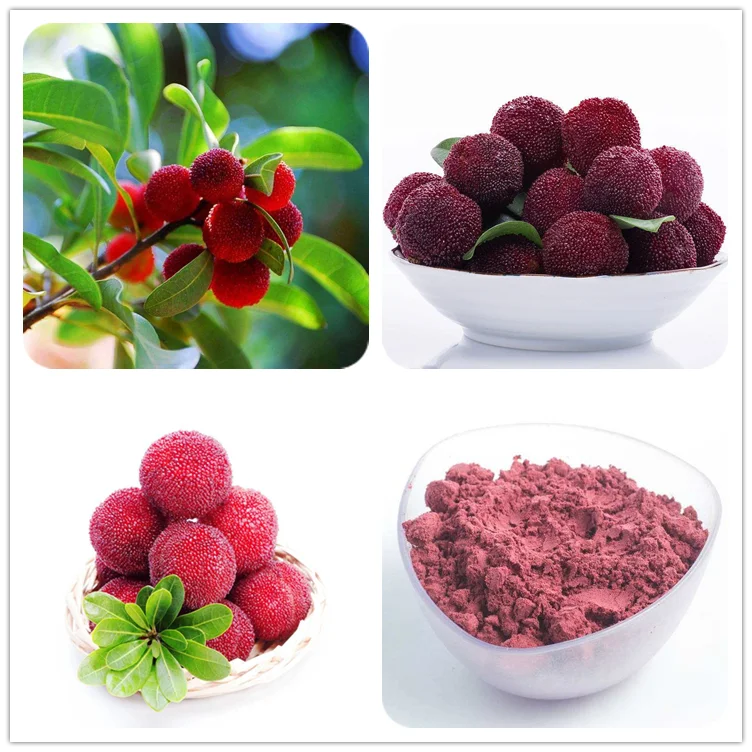 Red Bayberry Fruit Yangmei Juice Yumberry Pure Waxberry Extract Powder ...