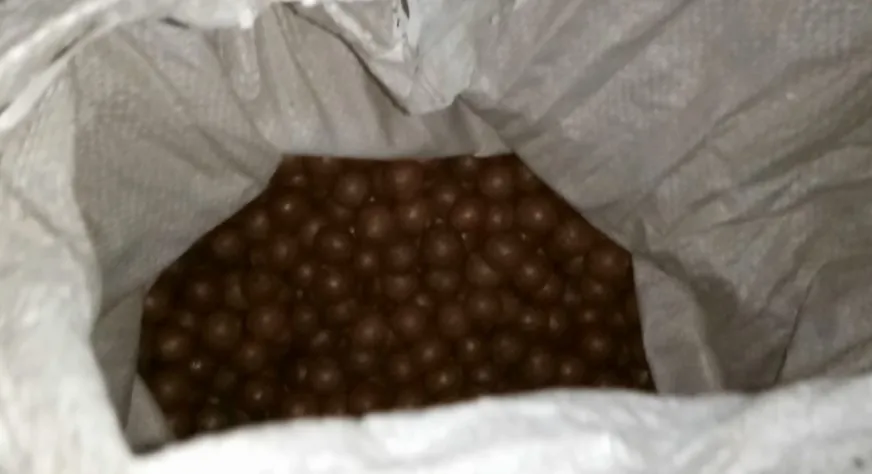 Palm Kernel Cracking Machine - High Productivity & Durability