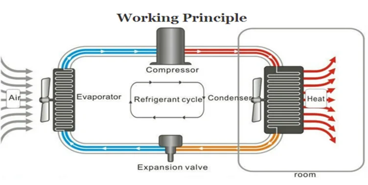 Food Dehydrator Excalibur/heating Element For Food Dehydrator/motors ...
